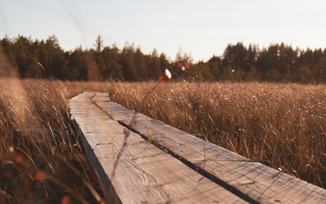 Crossing the Divide Together - Paths to Understanding