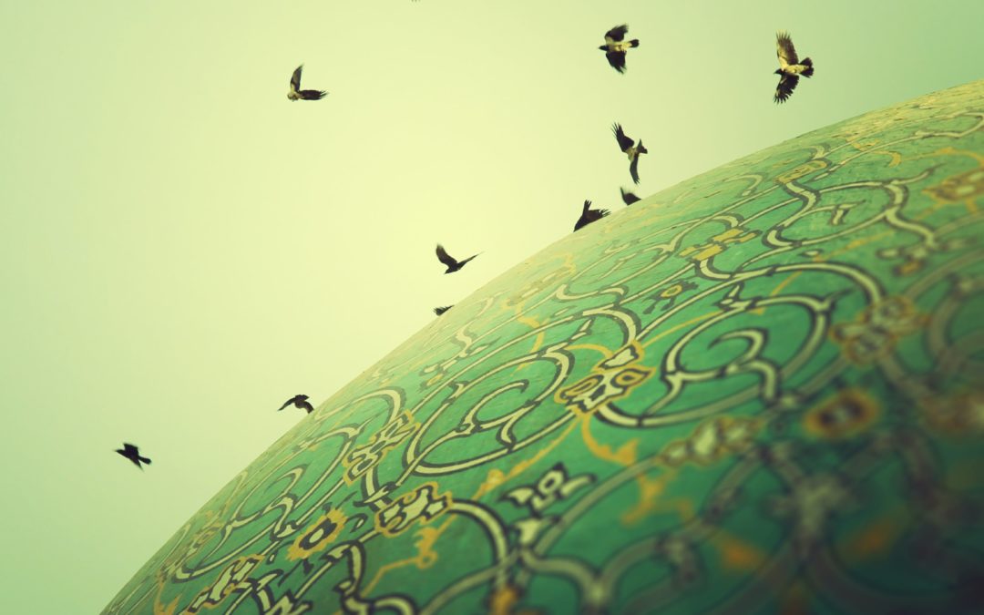 Who Represents Islam? - Paths to Understanding