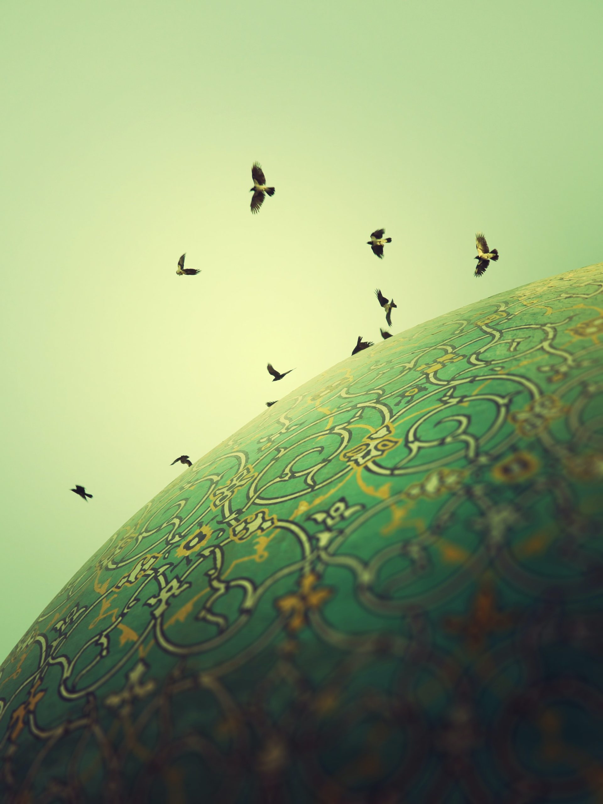 Who Represents Islam? - Paths to Understanding