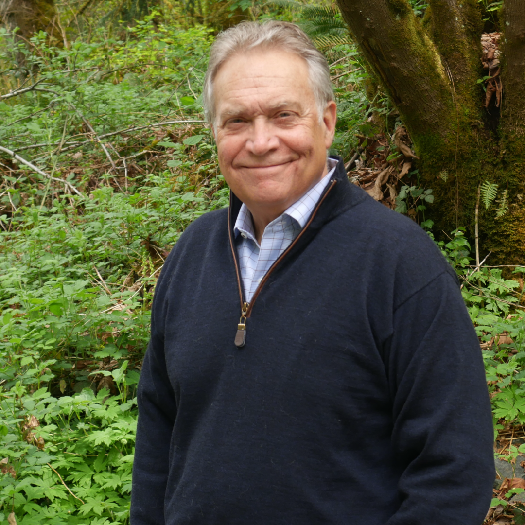 Board - Paths to Understanding