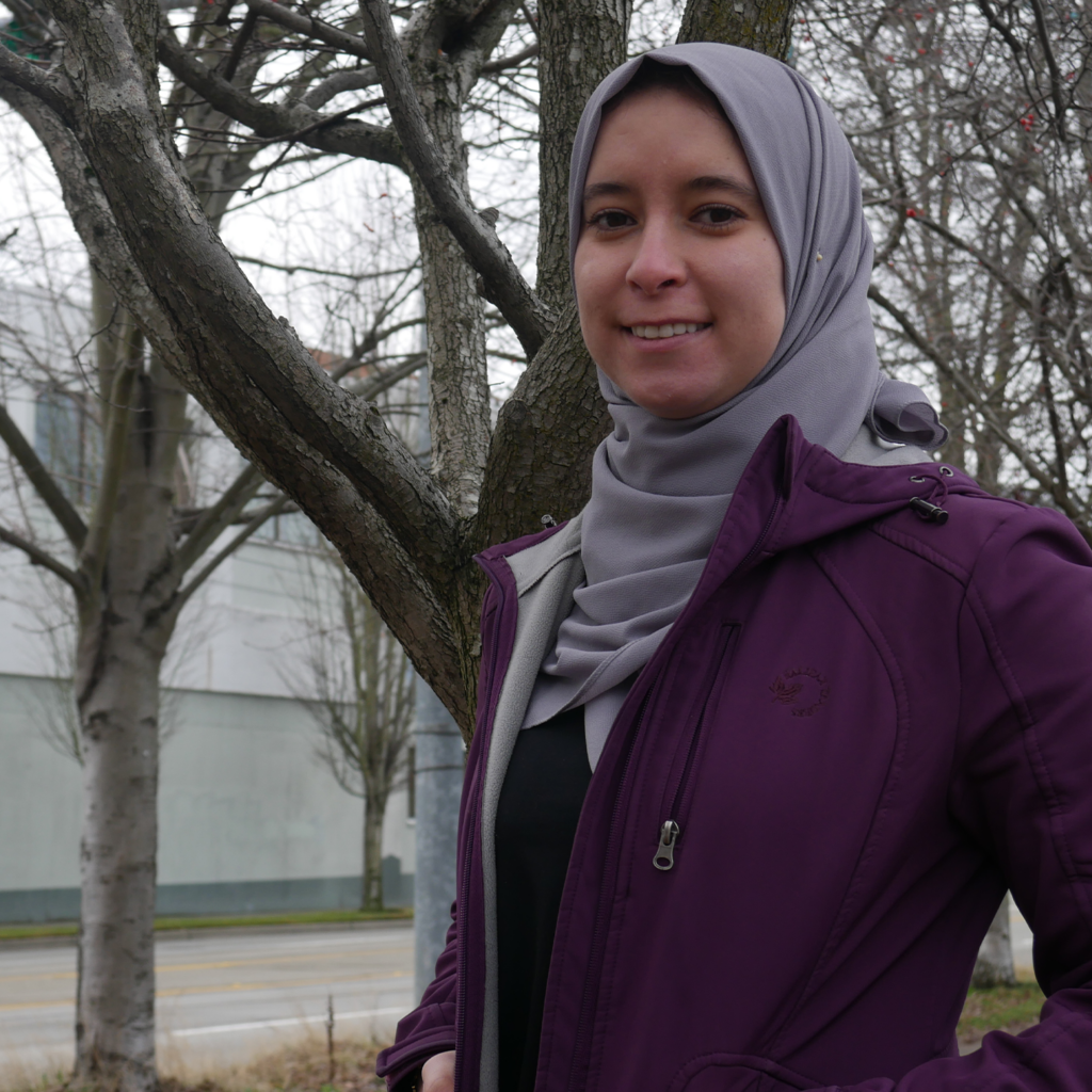 Board - Paths to Understanding